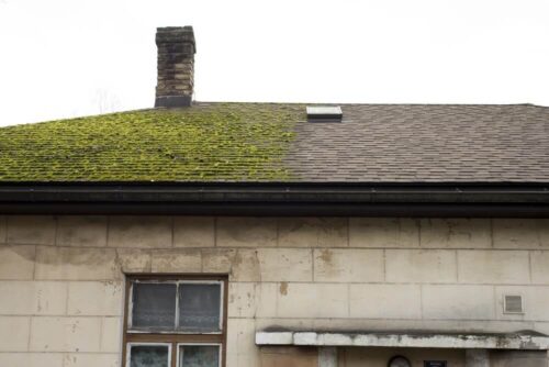 How to Remove Moss from Roof and and Prevent It Growing Back